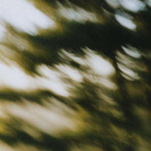 Rosemaund Farm Distillery